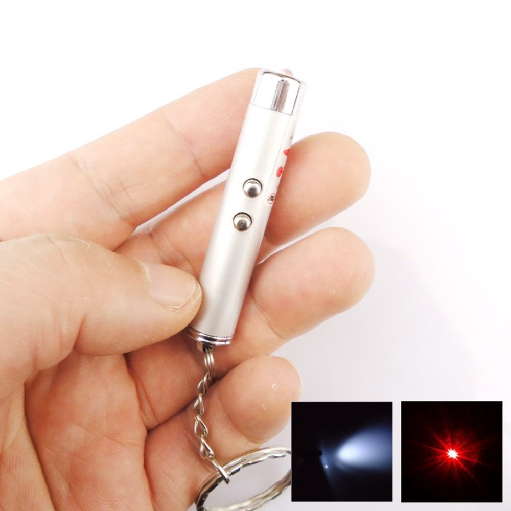 $3.99 - 2 in 1 Laser Pointer + Flashlight - Tinkersphere
